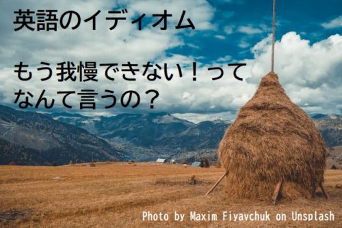 英語のイディオム「もう、がまんできない！」 | Monza-Study ZOOMで読書会